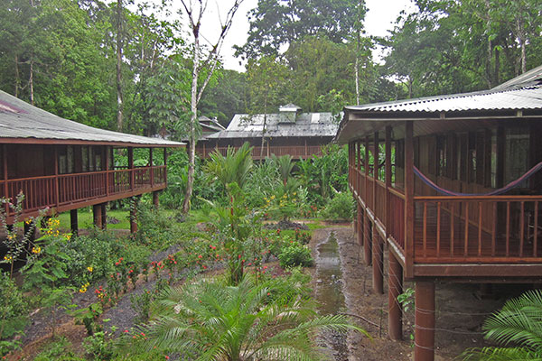 Selva Verde Lodge - Caribbean lowlands - diverse rainforest - Naturally ...